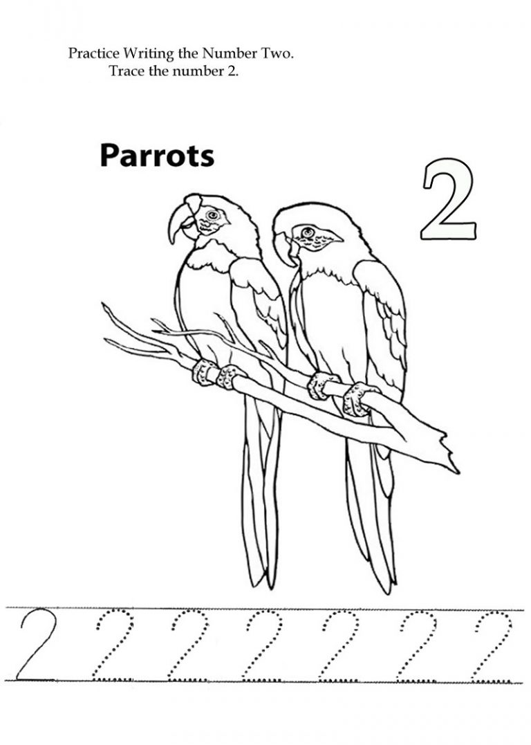 Number 2 Tracing Worksheets | Learning Printable