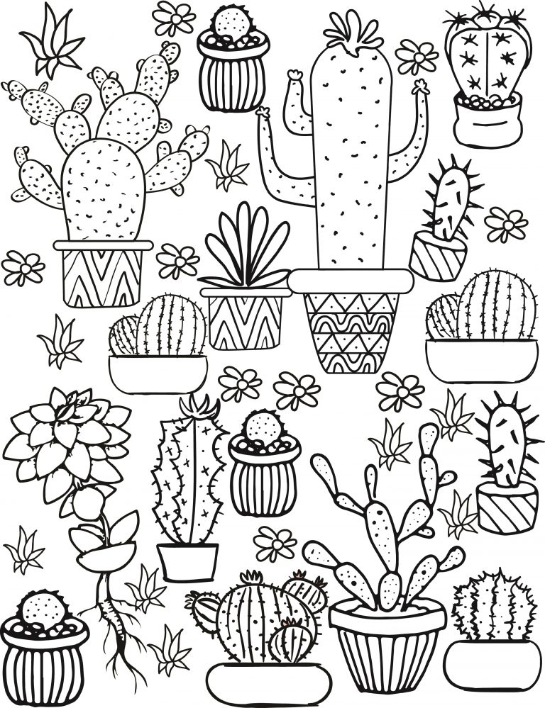 Beautiful Succulent Coloring Pages | Learning Printable Beautiful ...