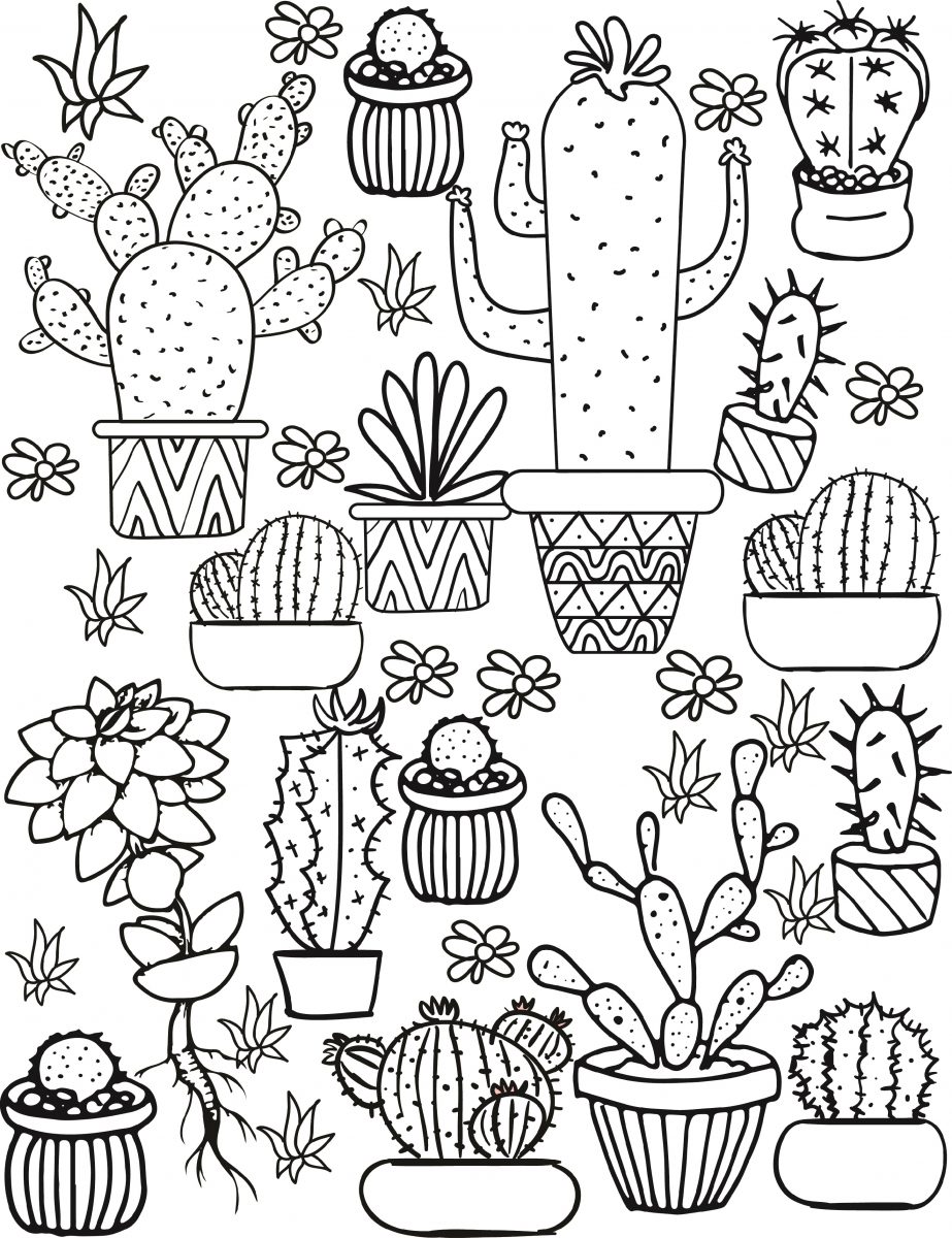 Beautiful Succulent Coloring Pages | Learning Printable Beautiful ...