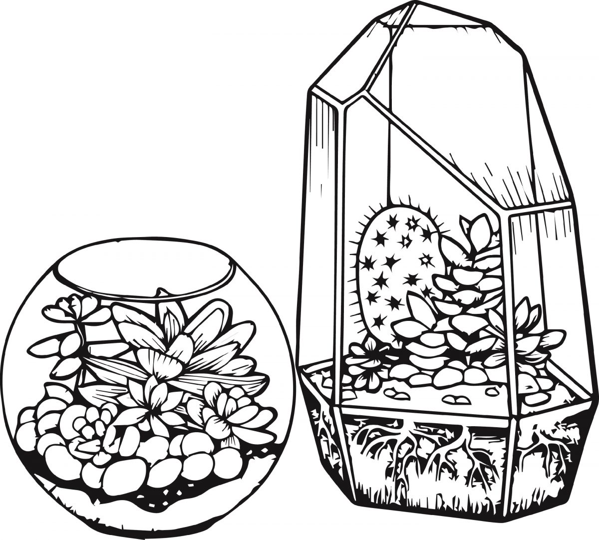 Beautiful Succulent Coloring Pages | Learning Printable Beautiful ...