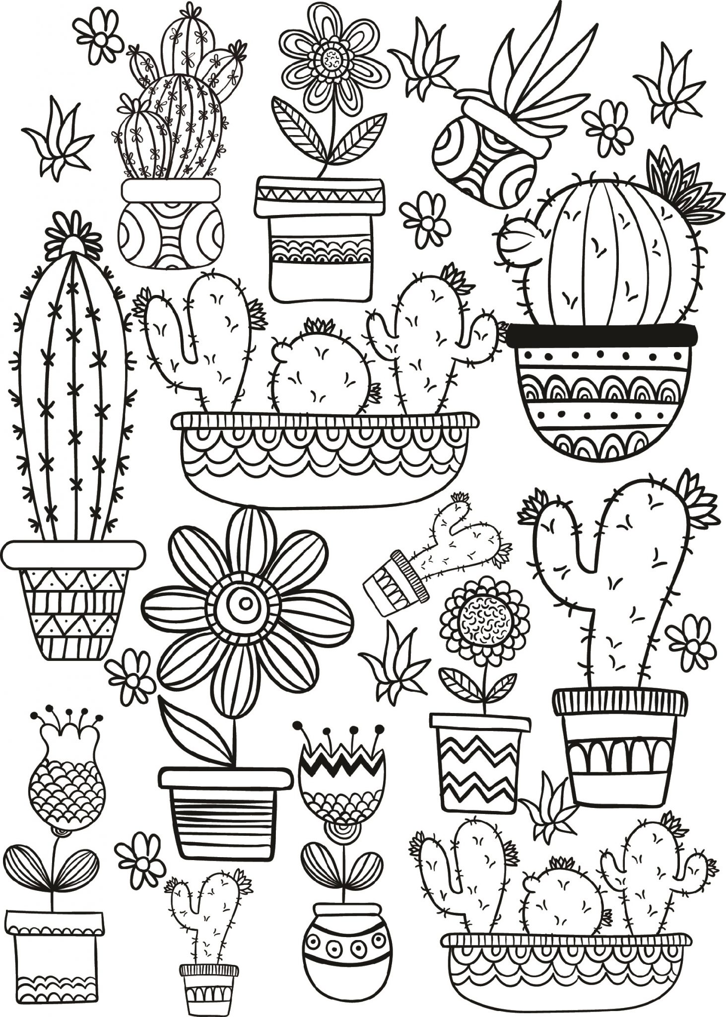 Beautiful Succulent Coloring Pages | Learning Printable Beautiful ...