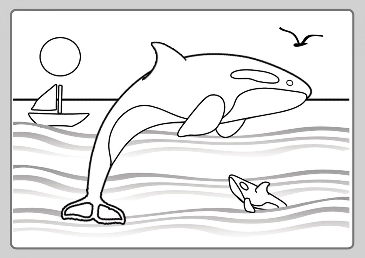 Orca Coloring Pages to Print for Learning | Learning Printable Orca ...