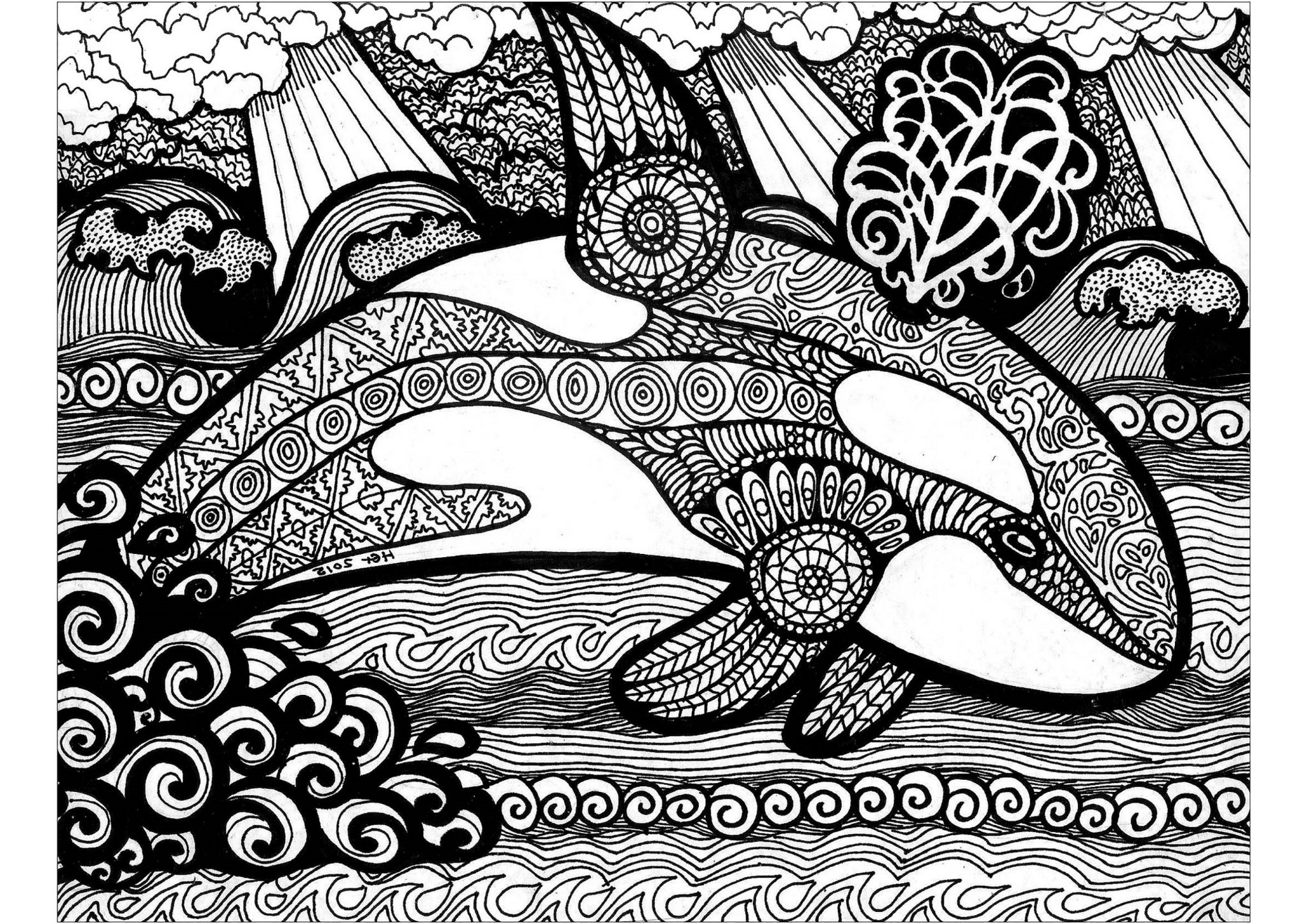 Orca Coloring Pages to Print for Learning | Learning Printable Orca ...